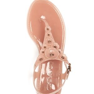 Coach | Shoes | Coach Tea Rose Jelly Sandals | Poshmark